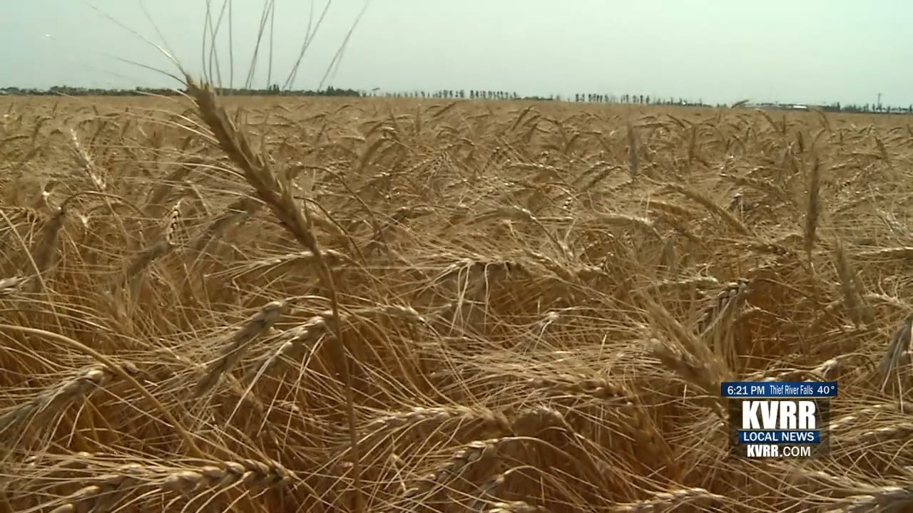 Go Farm Connect to Host Group USDA Office Visit and Intro to Federal ...