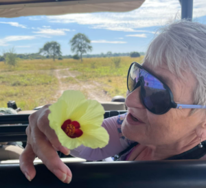 Hopkins Woman Killed While On Safari In Africa After Elephant Rams ...