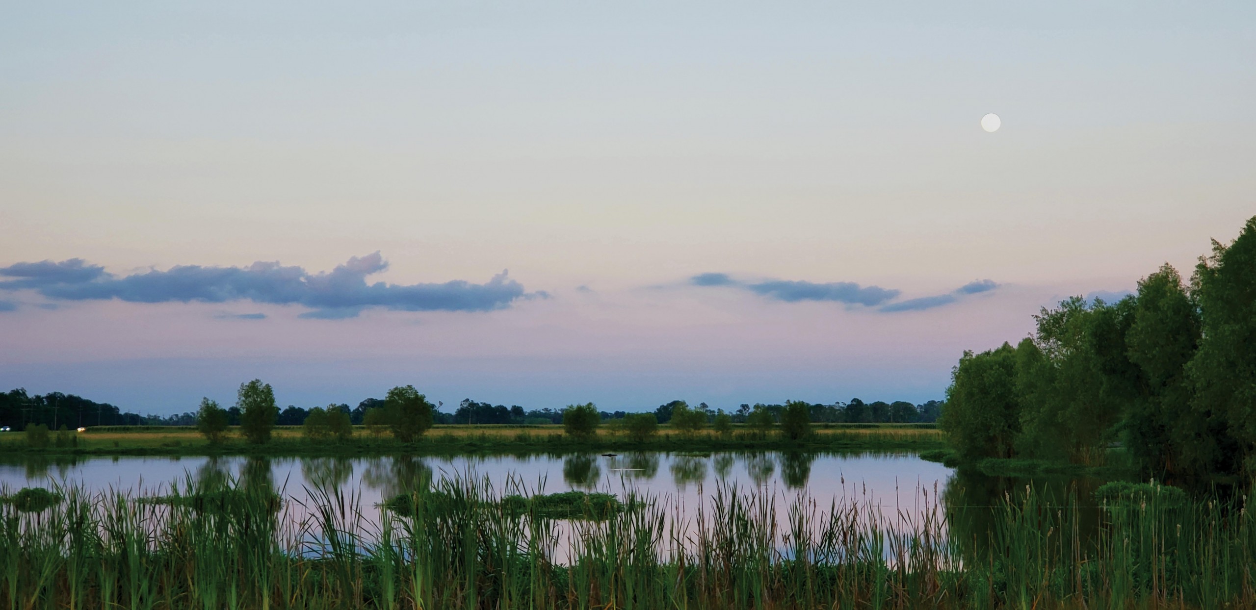 Photo Contest: Lundar Love - louisianalife.com