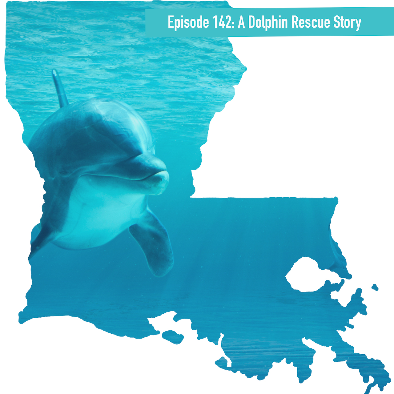 Episode 142: A Louisiana Dolphin Rescue Story - louisianalife.com