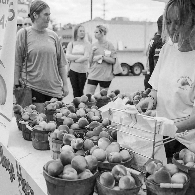 A Guide to Spring Festivals in Louisiana - louisianalife.com