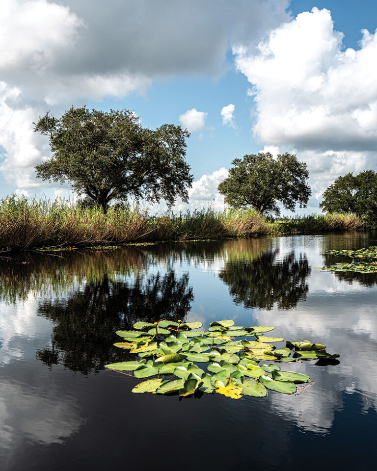 The Wonders of White Lake Wetlands Conservation Area - louisianalife.com