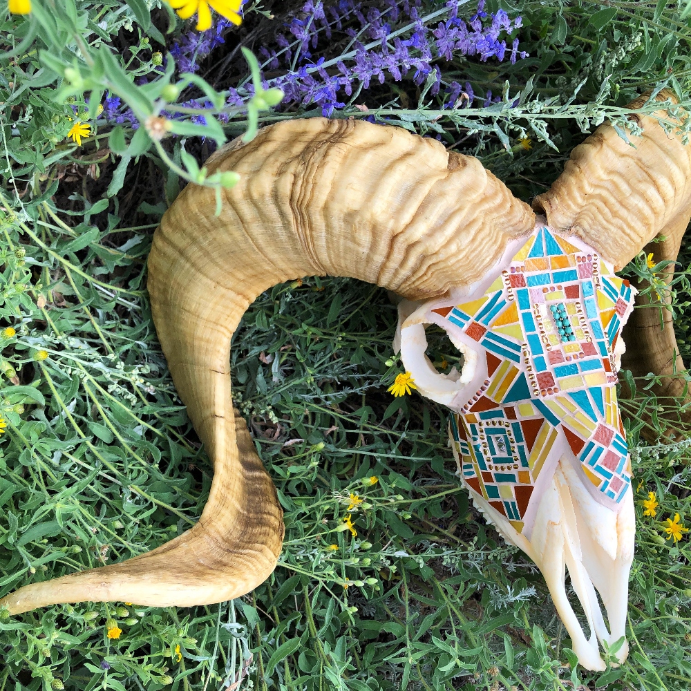 Animal Skull Art - Mountain Living