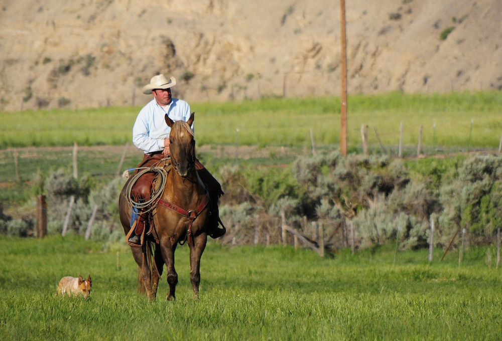 Dreaming of Living the Ranch Lifestyle? - Mountain Living