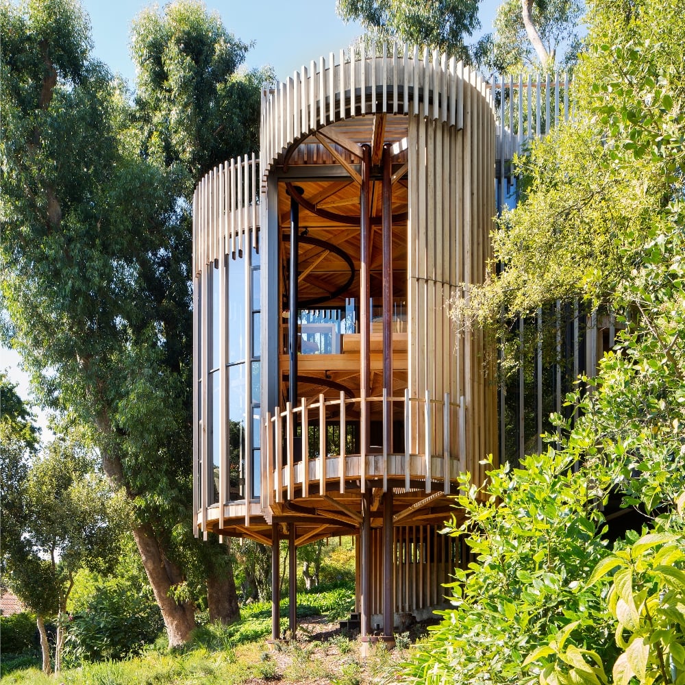 At Home in the Forest - Mountain Living