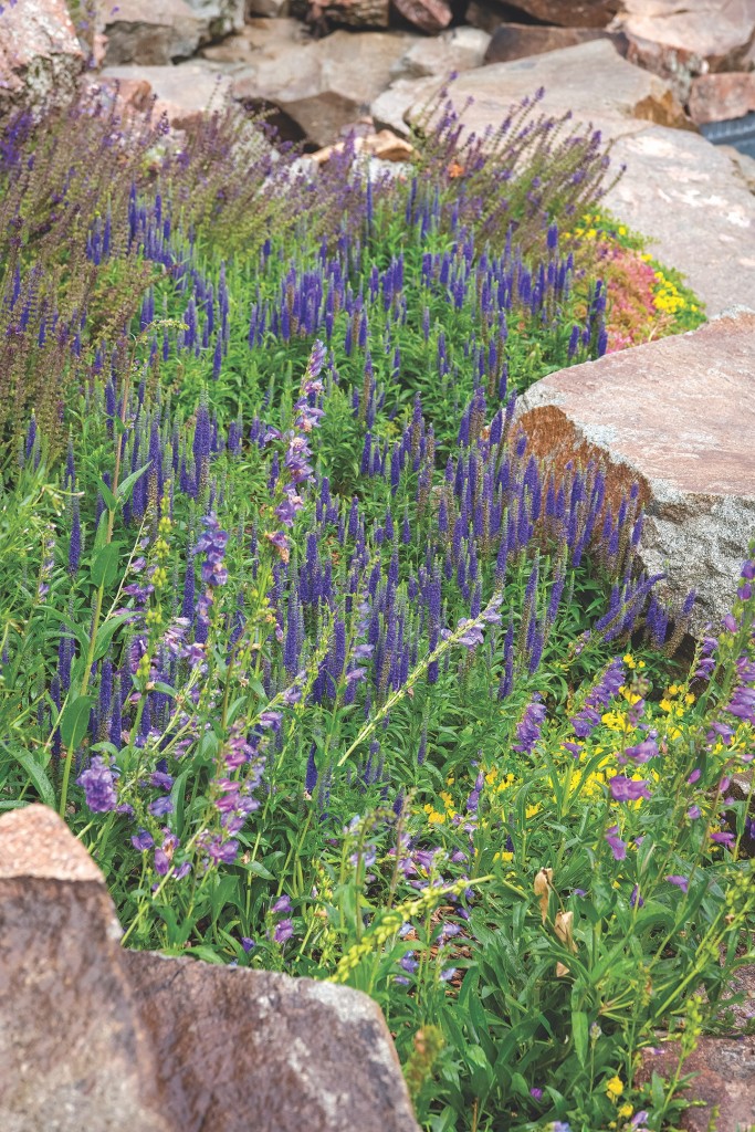 A Sublime Alpine Backyard Makeover - Mountain Living