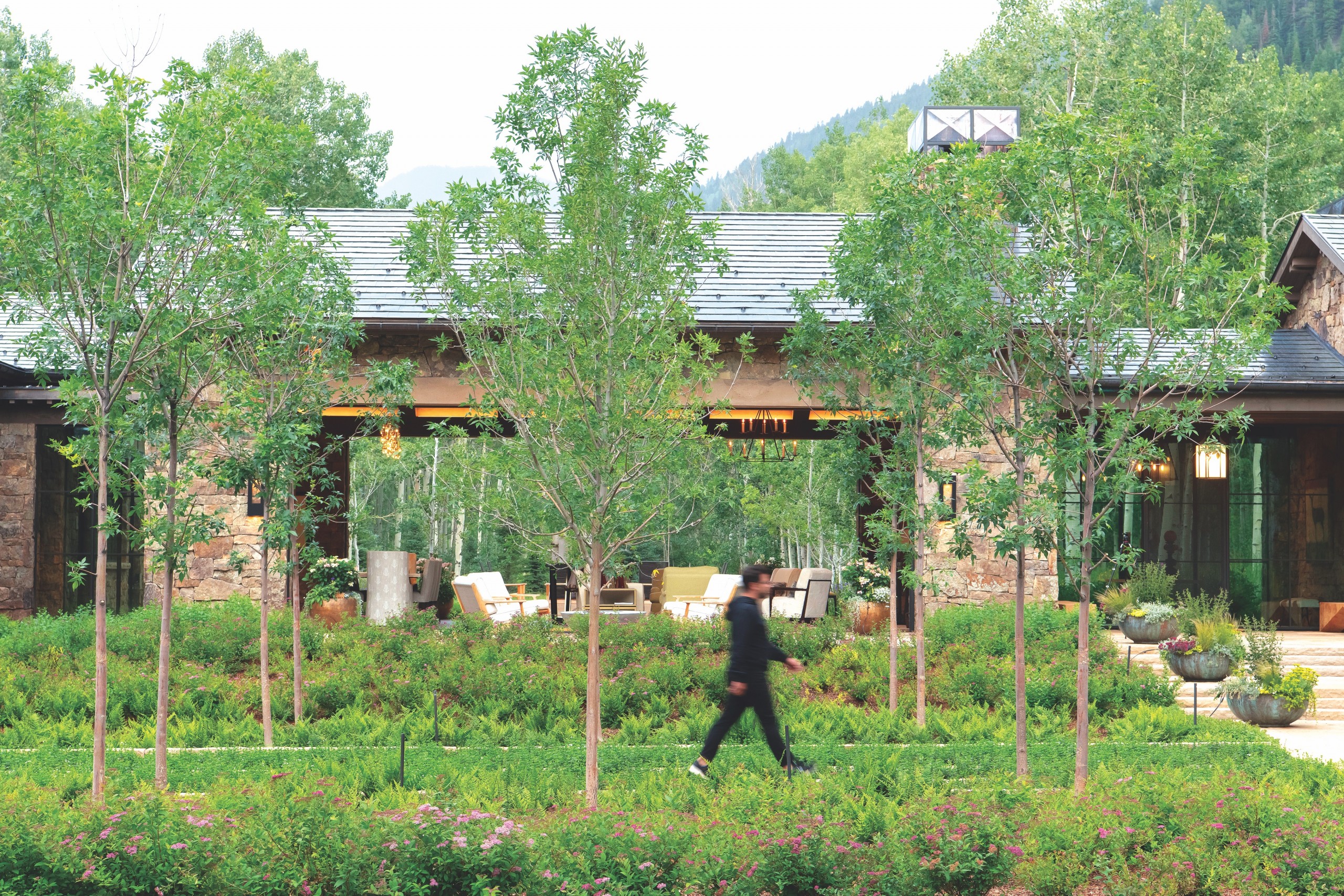 This Home Sits in an Aspen Forest - Mountain Living