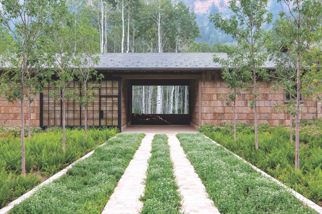 This Home Sits in an Aspen Forest - Mountain Living