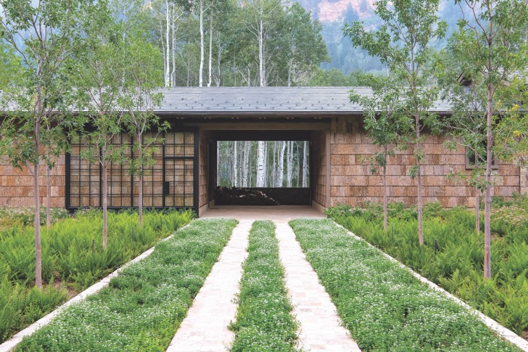 This Home Sits in an Aspen Forest - Mountain Living