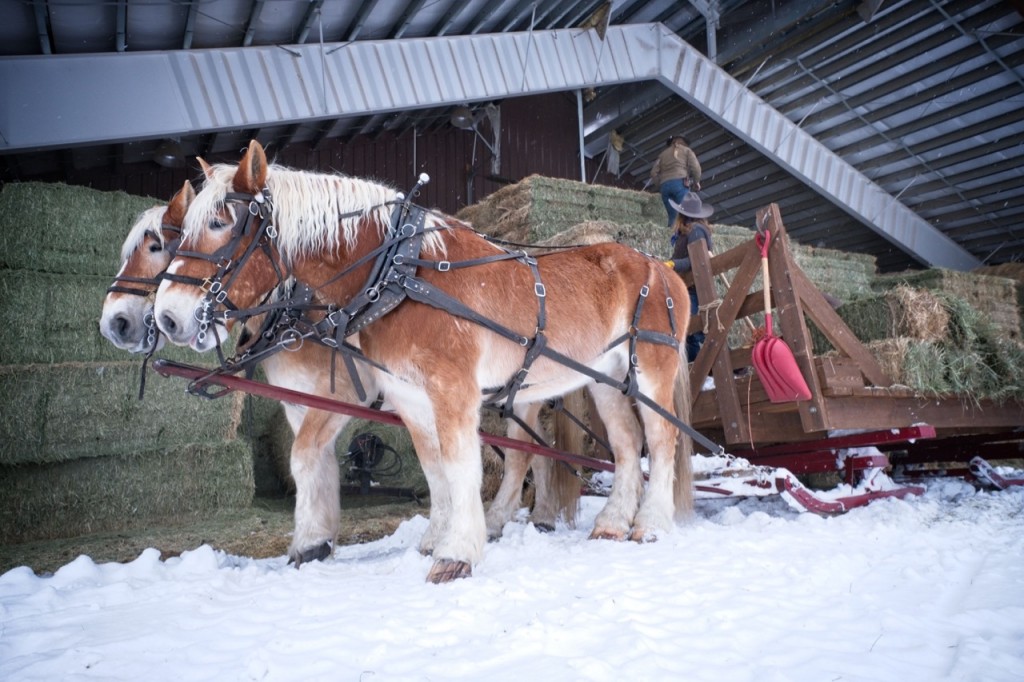 A Guest Ranch in Winter - Mountain Living