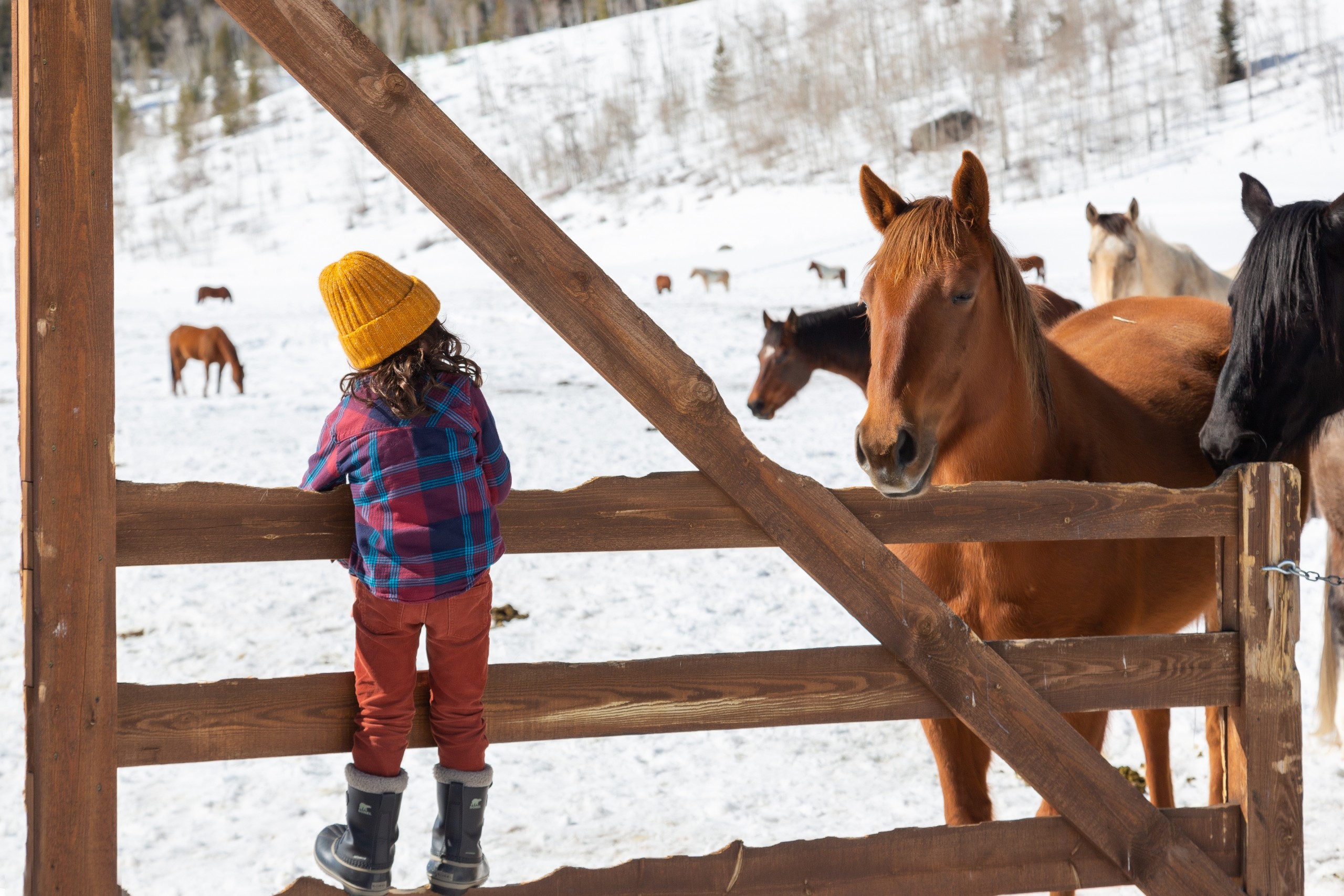 A Guest Ranch in Winter - Mountain Living