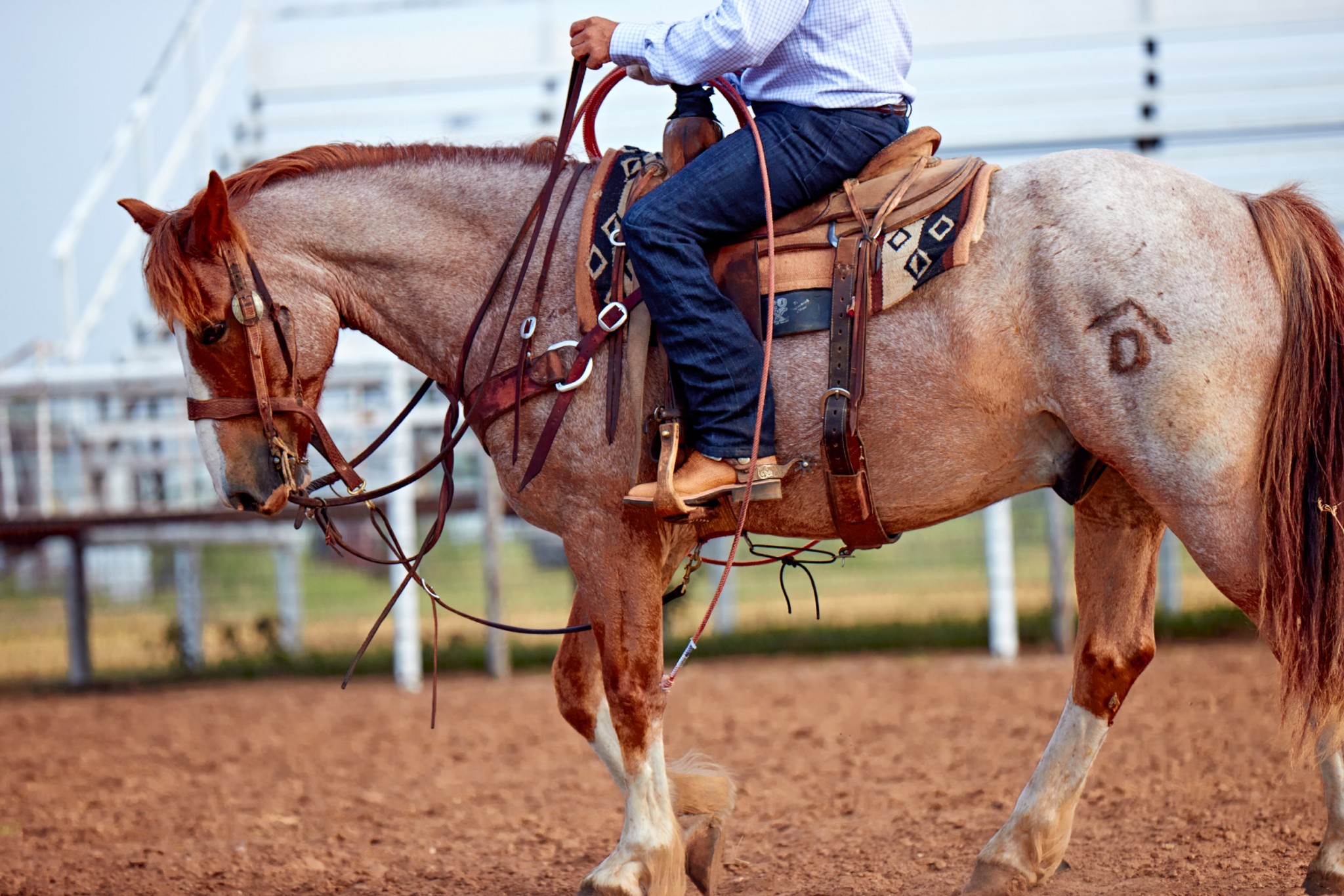 Western Wear With Flair - Mountain Living