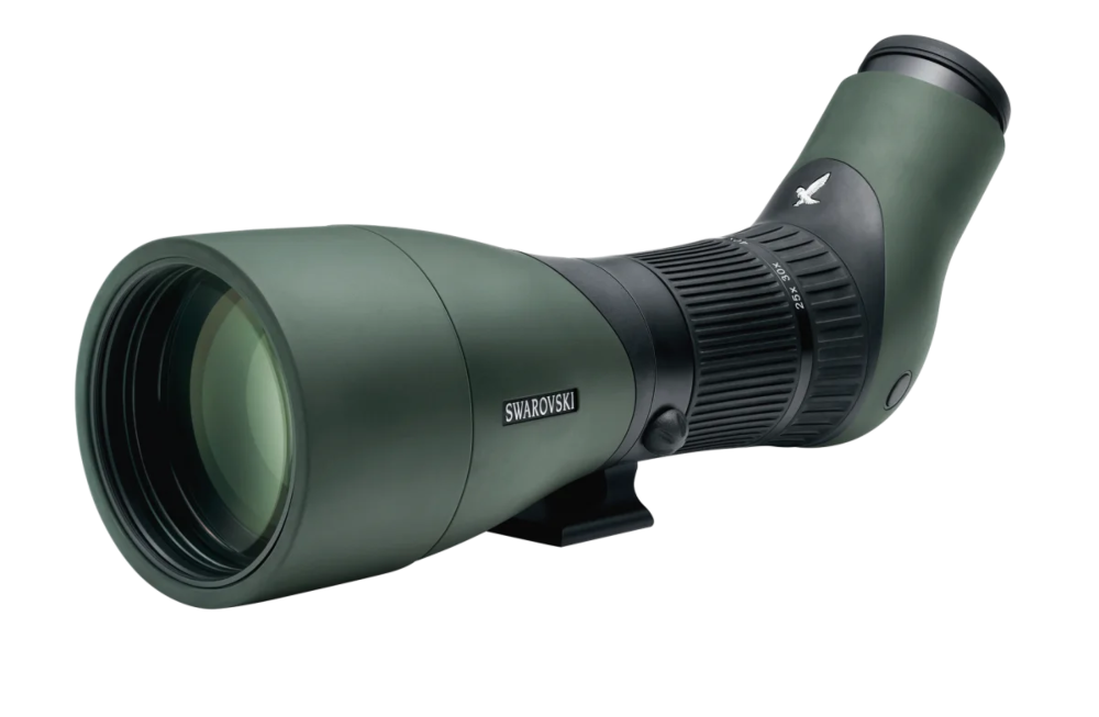 Choosing Binoculars or a Spotting Scope for Your Mountain Adventures ...