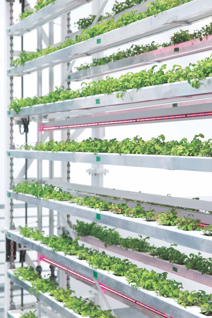 The First Vertical Hydroponic Greenhouse in North America - Mountain Living