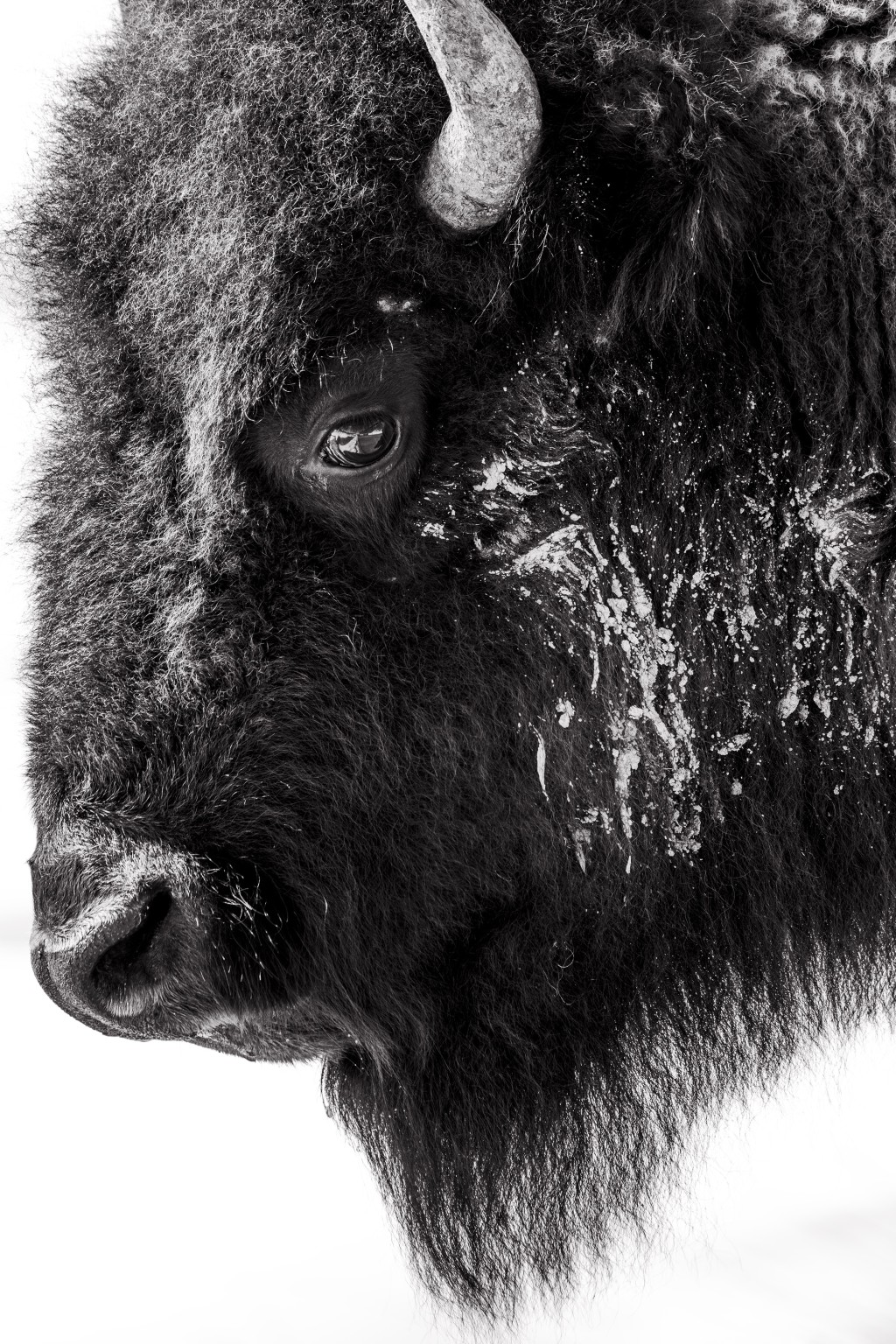 Fine Art Photographer Kene Sperry Connects With the Natural World ...