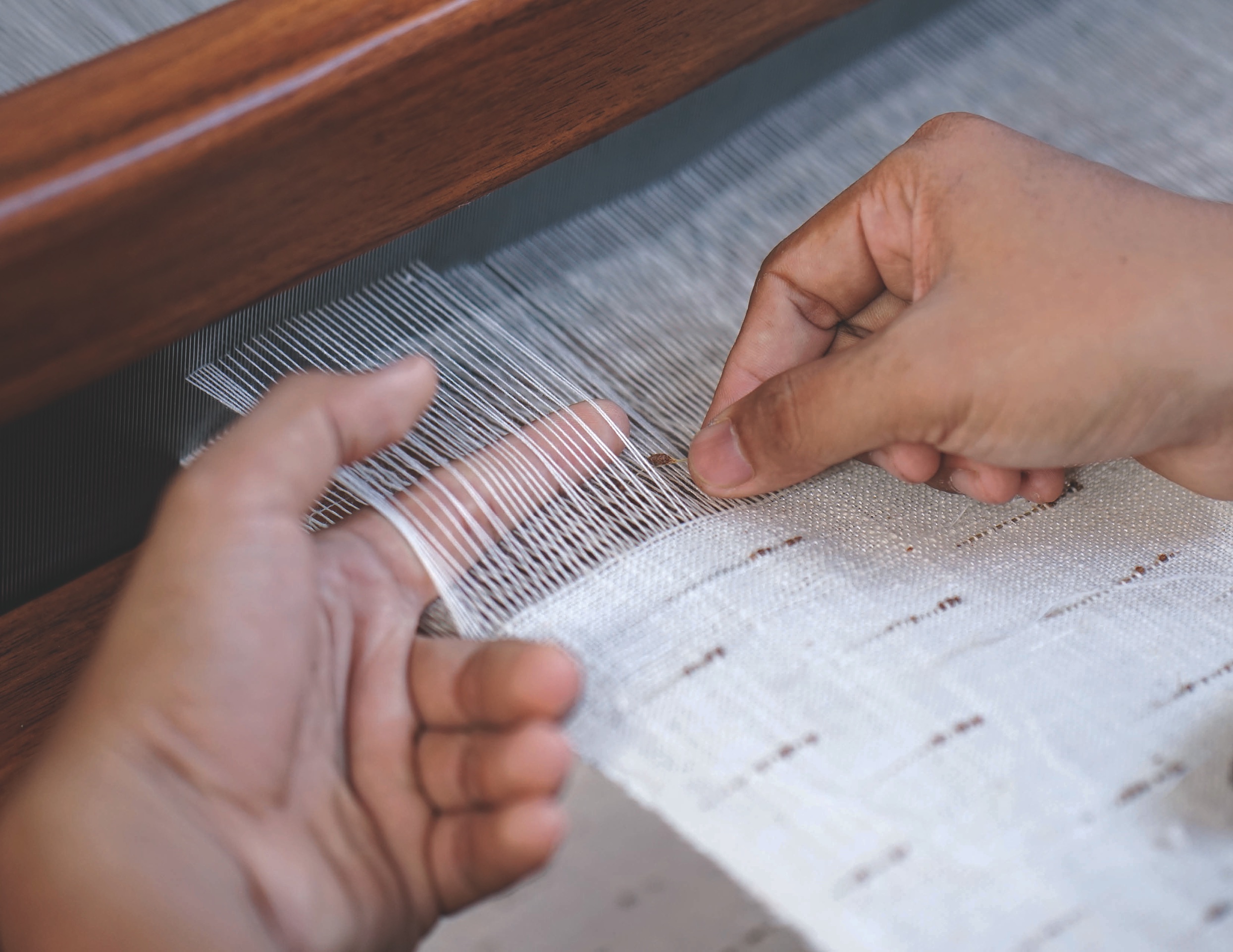 Fungi, Cenotes & Shooting Stars Appear in Textiles by Lisa Kanning ...