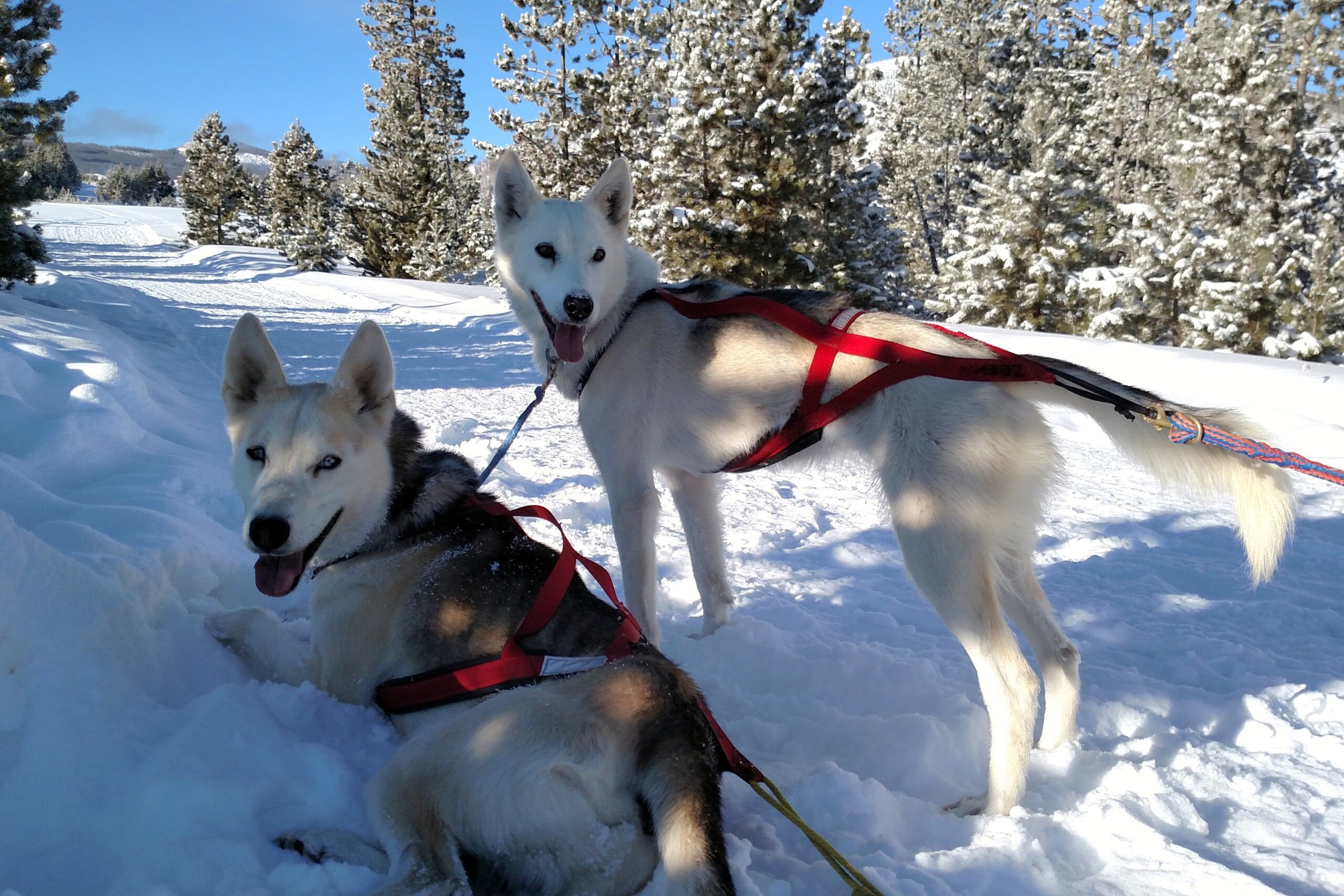 A Rocky Mountain Spring Break Extravaganza Itinerary - Mountain Living