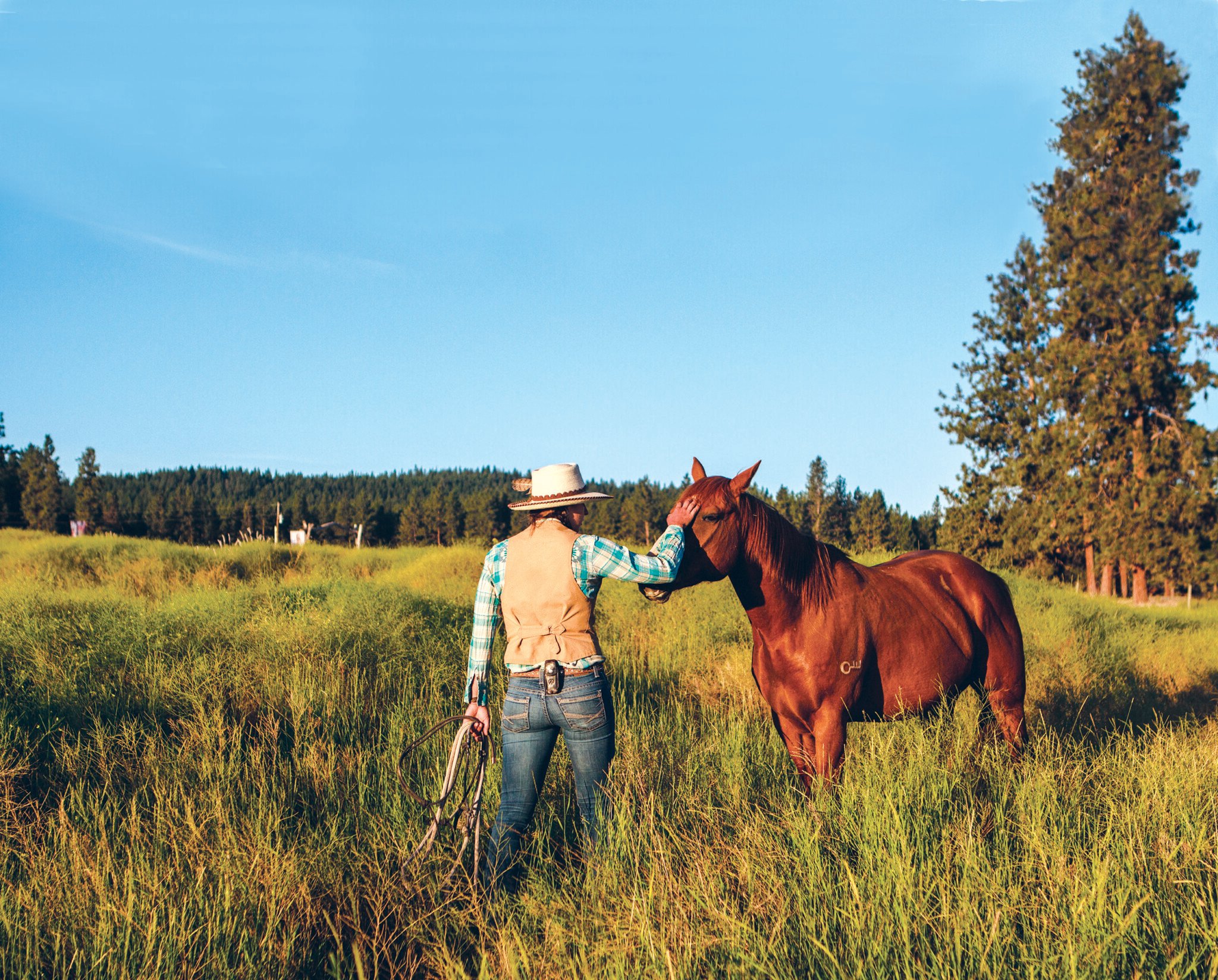 Montana Resort Combines Pastures, Forests and Rivers for the Perfect ...