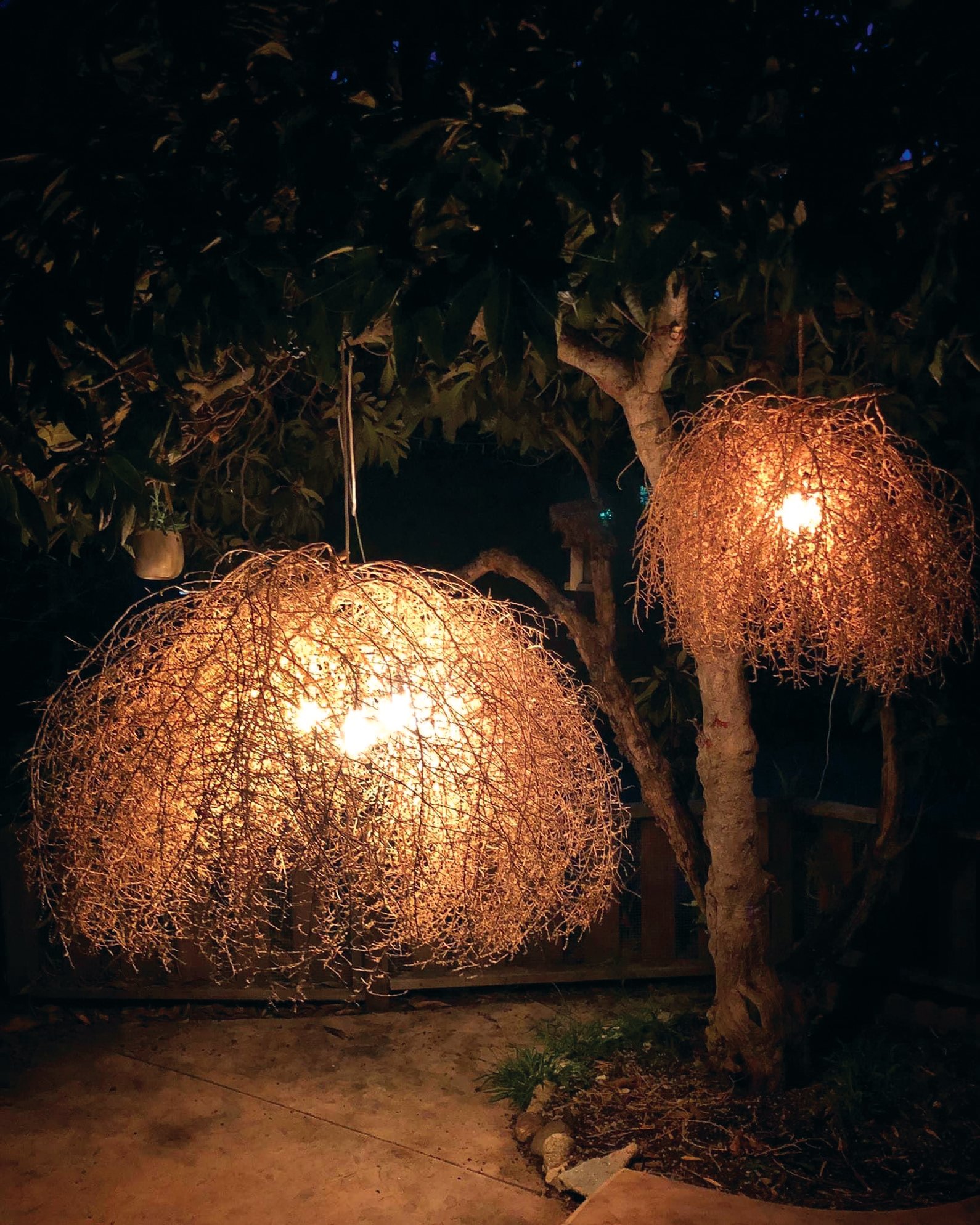 Turning Tumbleweeds Into Treasures - Mountain Living