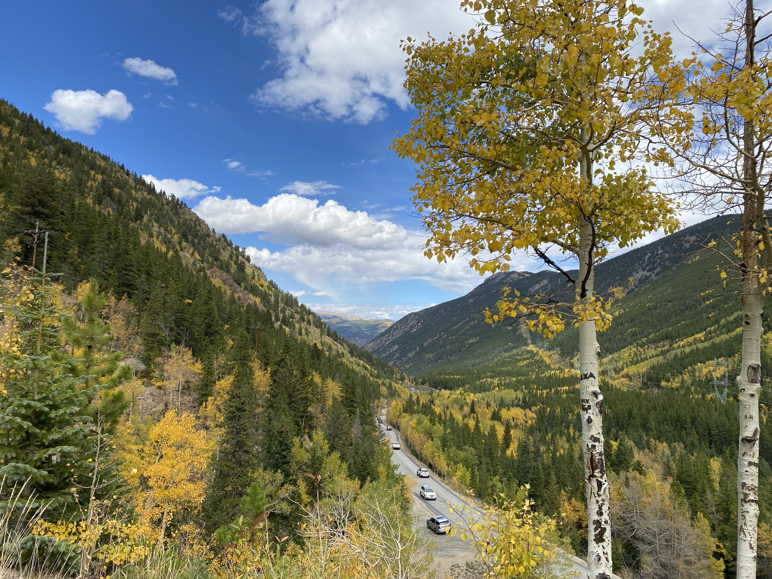 Fall in Love with Autumn in the Colorado Mountains - Mountain Living