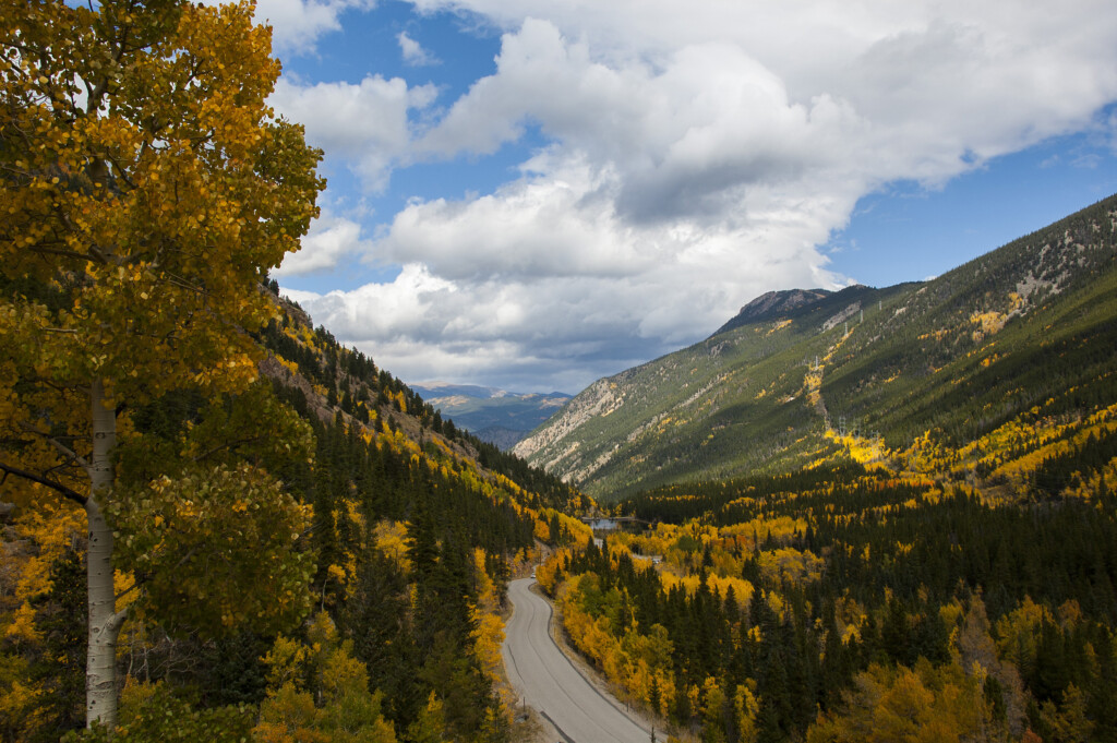 Fall in Love with Autumn in the Colorado Mountains - Mountain Living