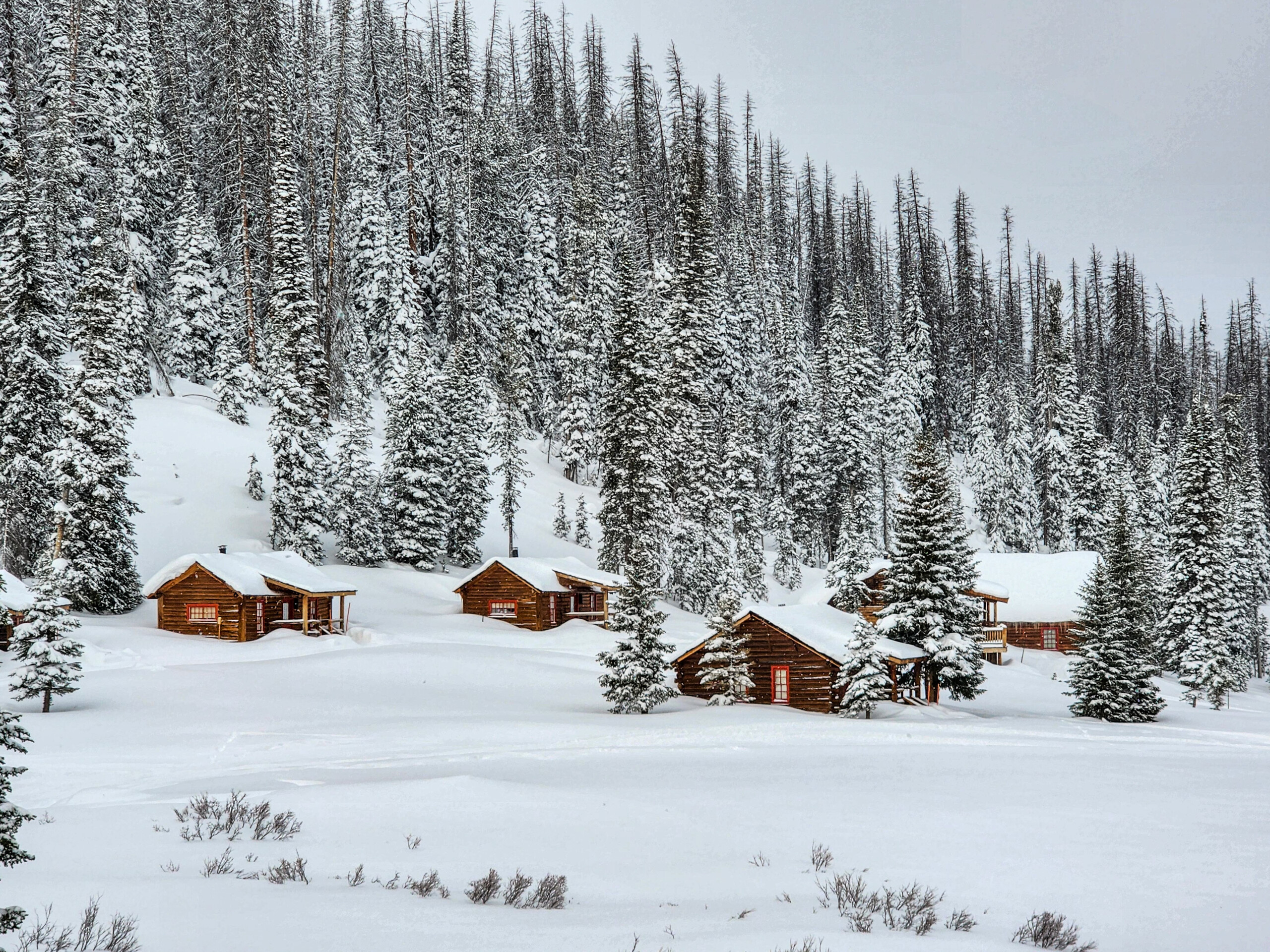 Treat Yourself to All-Inclusive Western Luxury - Mountain Living