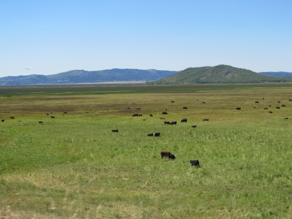 Bozeman's Best Summer Spots - Mountain Living