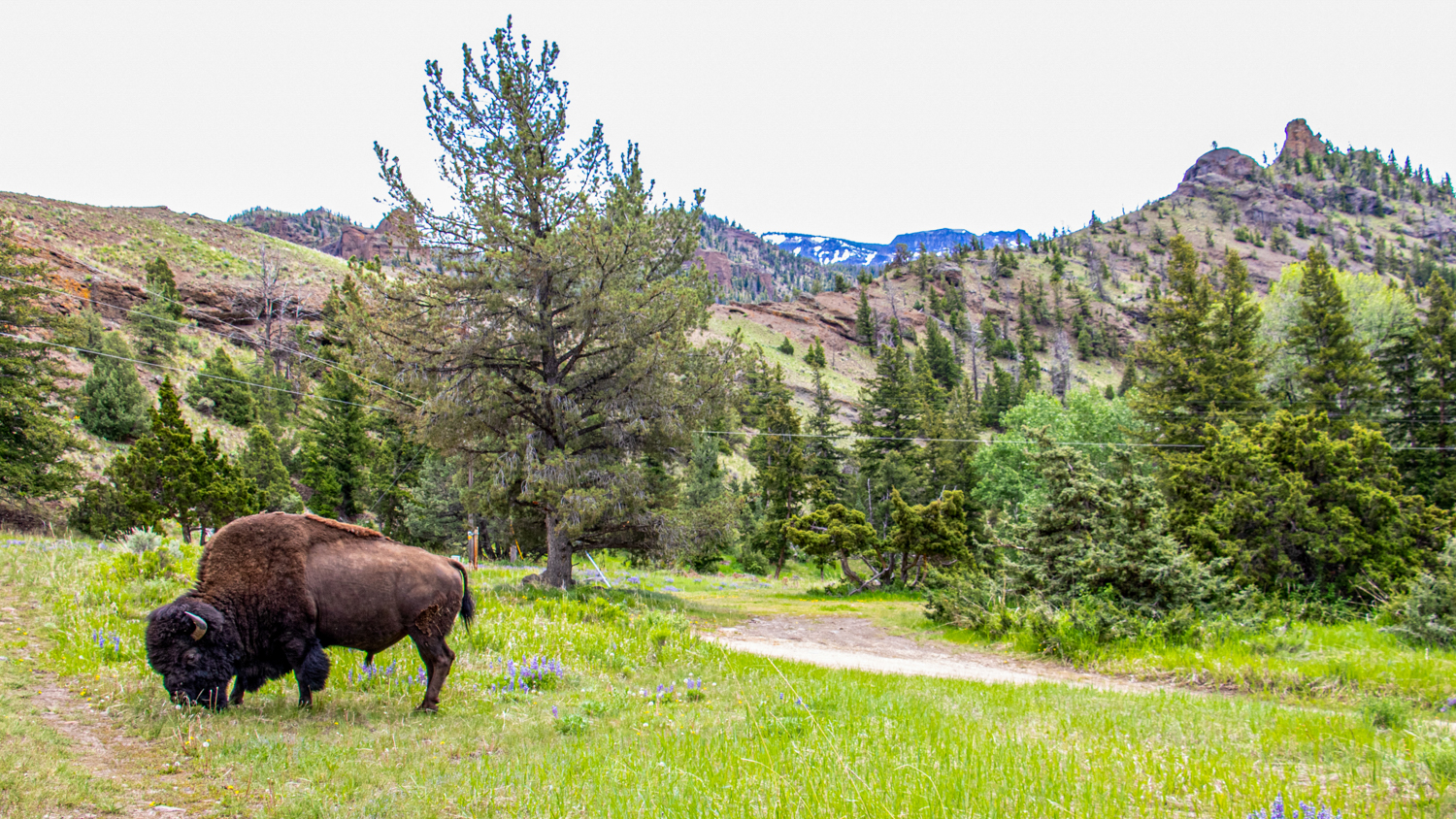 Pop-Up Ranch Concept Offers an Authentic Dude Ranch Experience ...