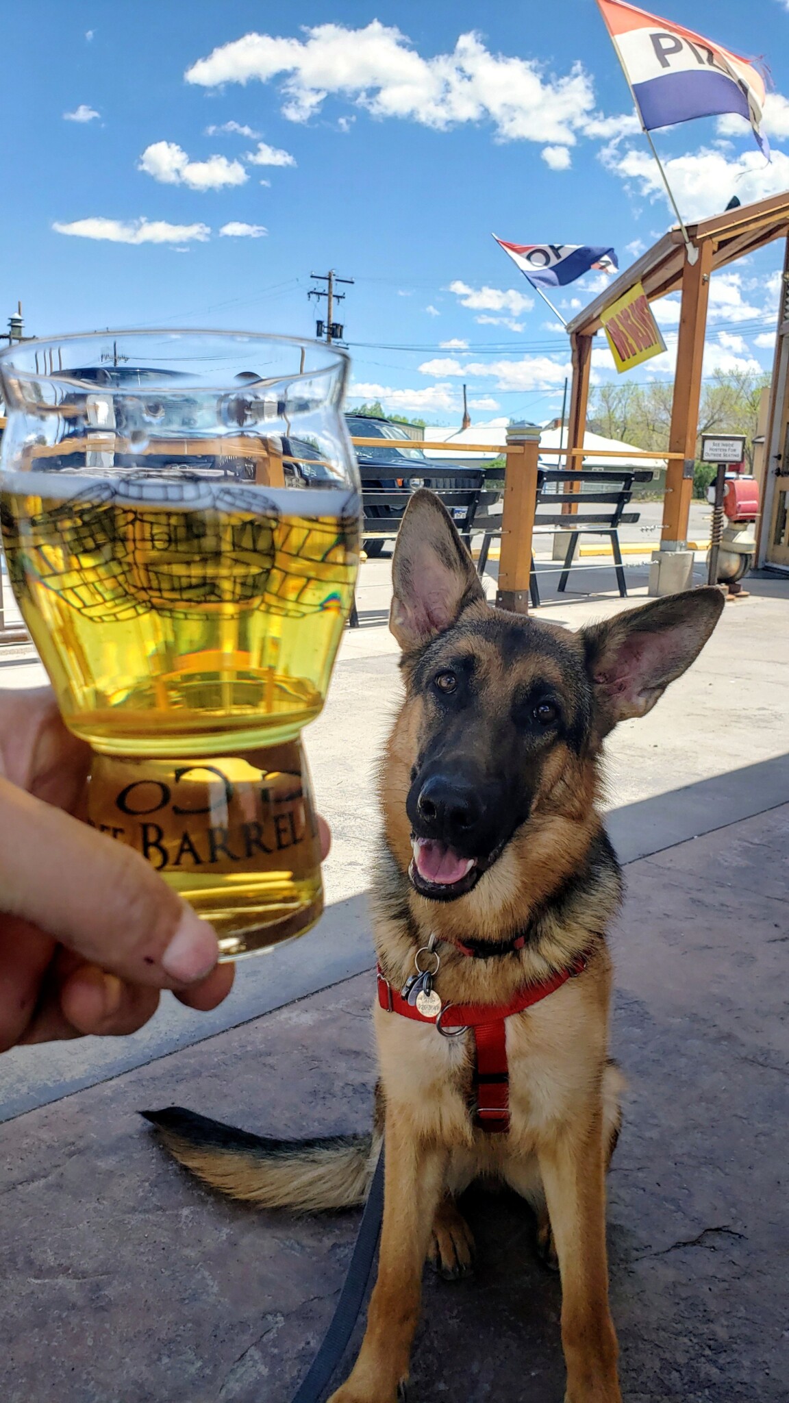 The Ultimate Colorado Getaway: A Yurt, a Hot Spring and a Brewery ...