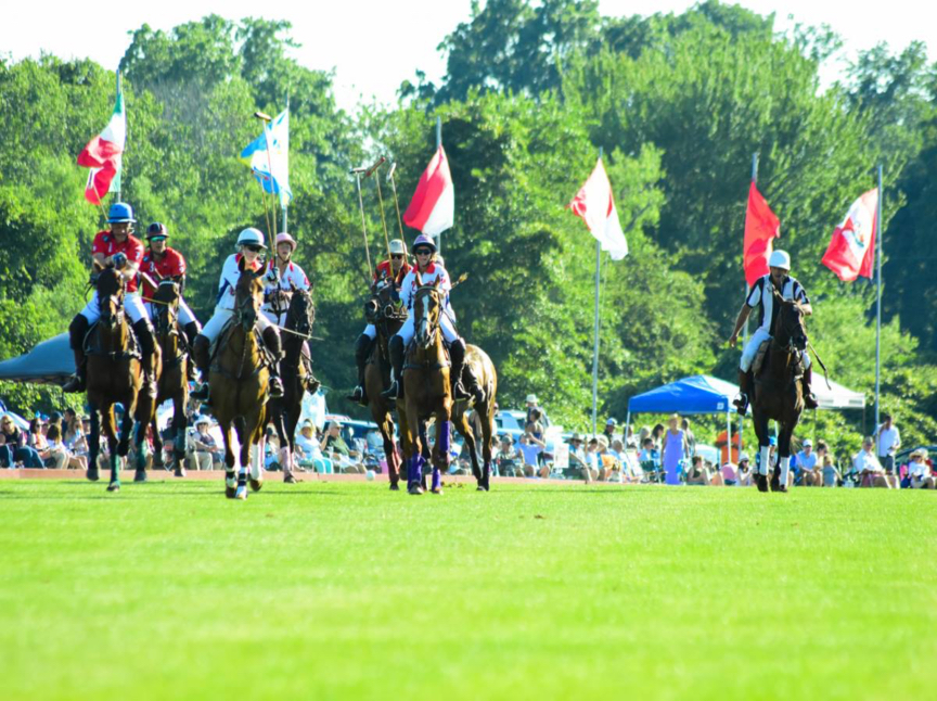polo - Rhode Island Monthly