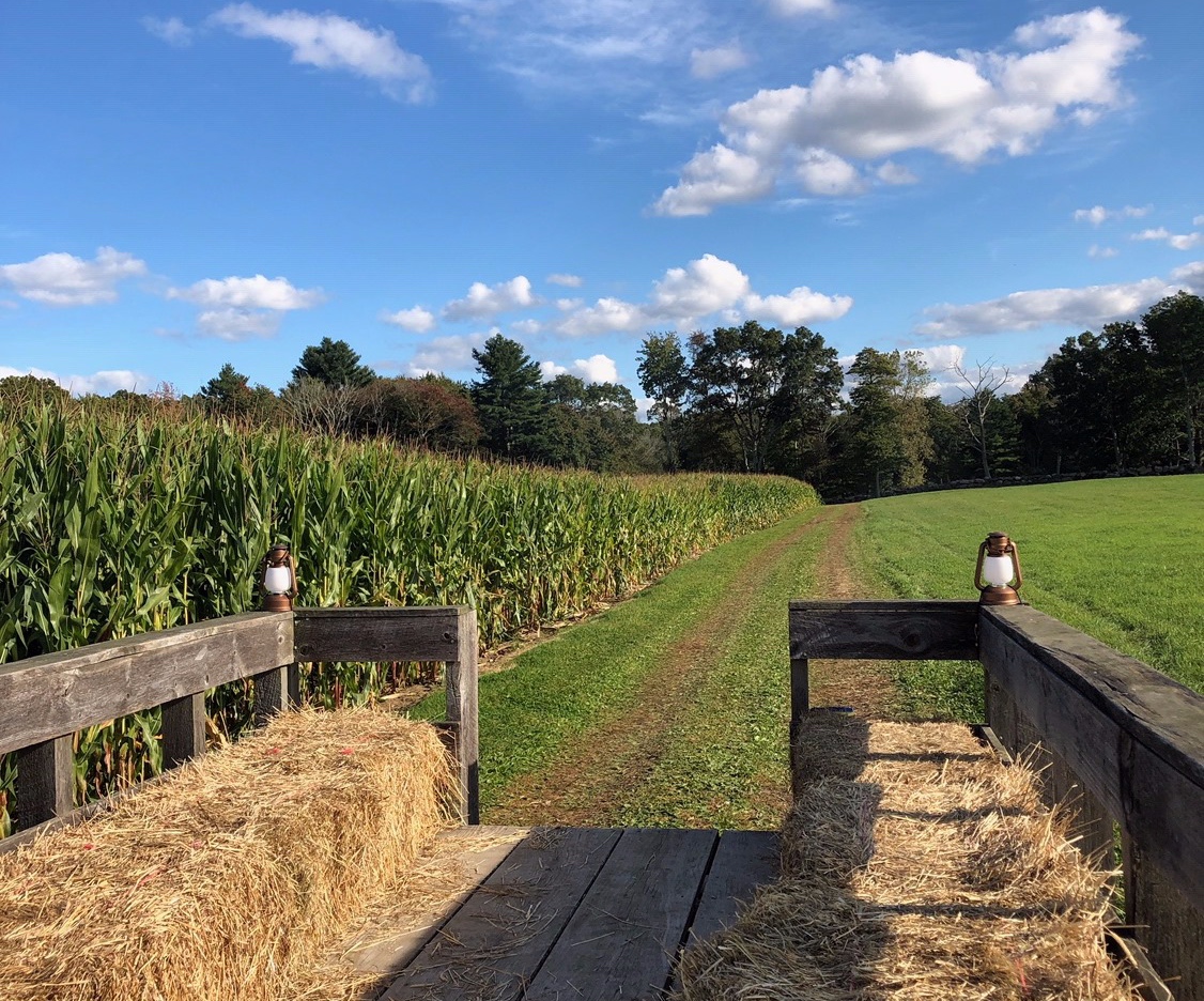6 Corn Mazes to Explore in Rhode Island - Rhode Island Monthly
