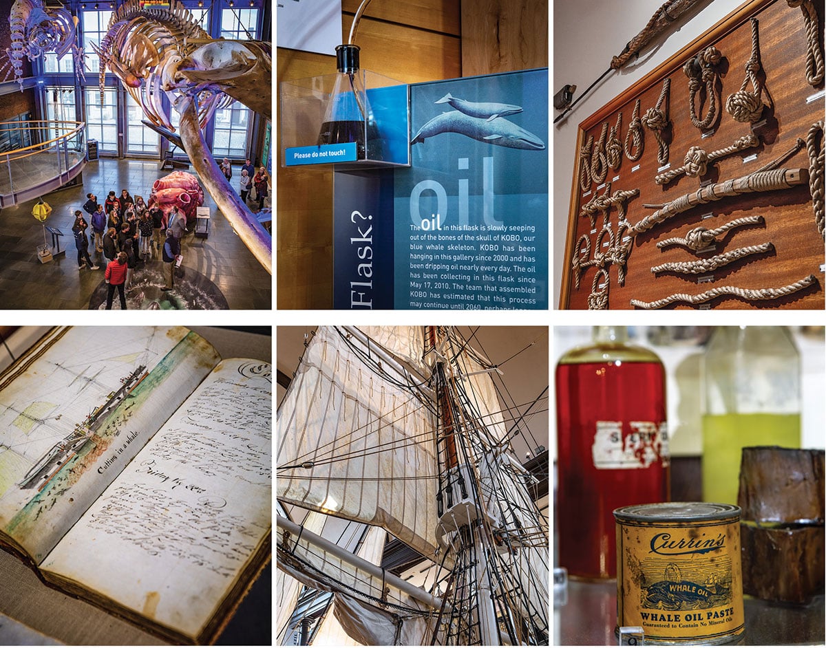 Inside the New Bedford Whaling Museum - Rhode Island Monthly