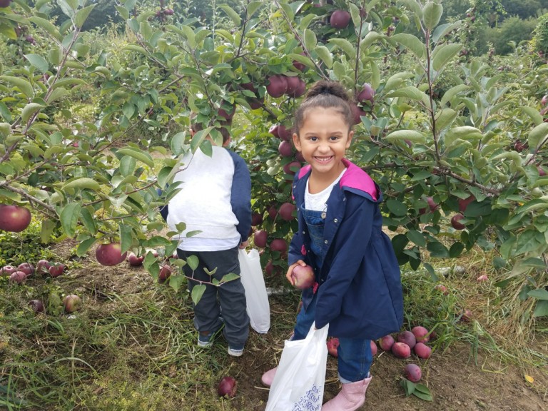 Where to Go Apple Picking in Rhode Island - Rhode Island Monthly