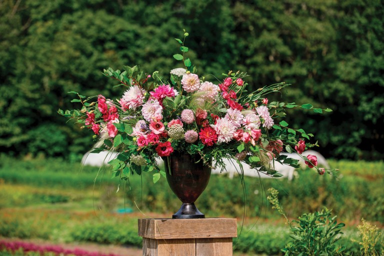 Rhode Island Flower Farmers Share Their Best Green-Thumbed Tips