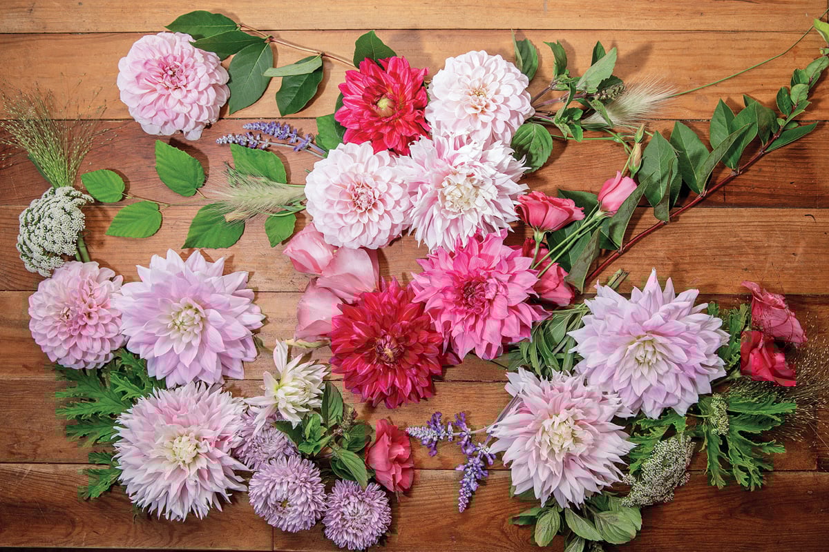 Rhode Island Flower Farmers Share Their Best Green-Thumbed Tips