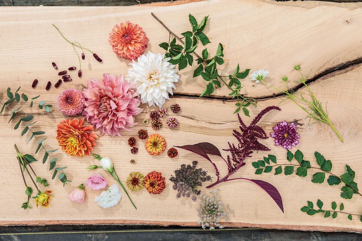 Rhode Island Flower Farmers Share Their Best Green-Thumbed Tips - Page ...