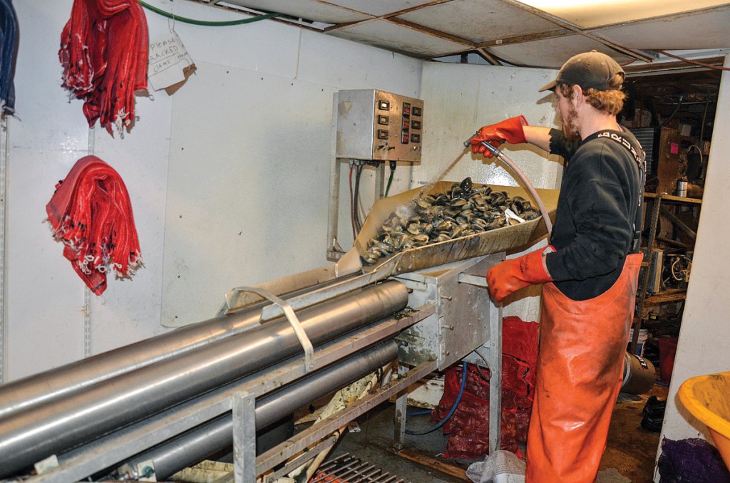 A Rake's Progress: Commercial Quahogging in Rhode Island