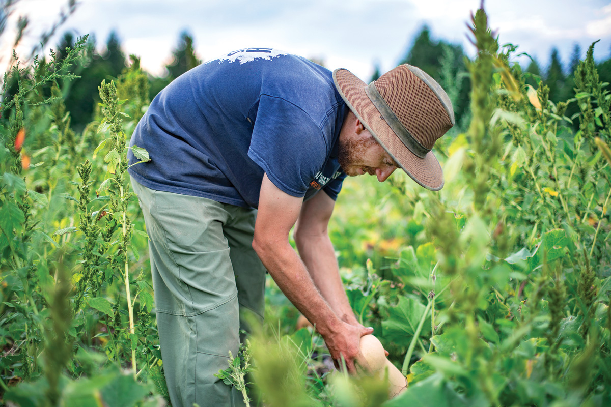 The Future of Farming in Rhode Island - Page 3 of 3 - Rhode Island Monthly