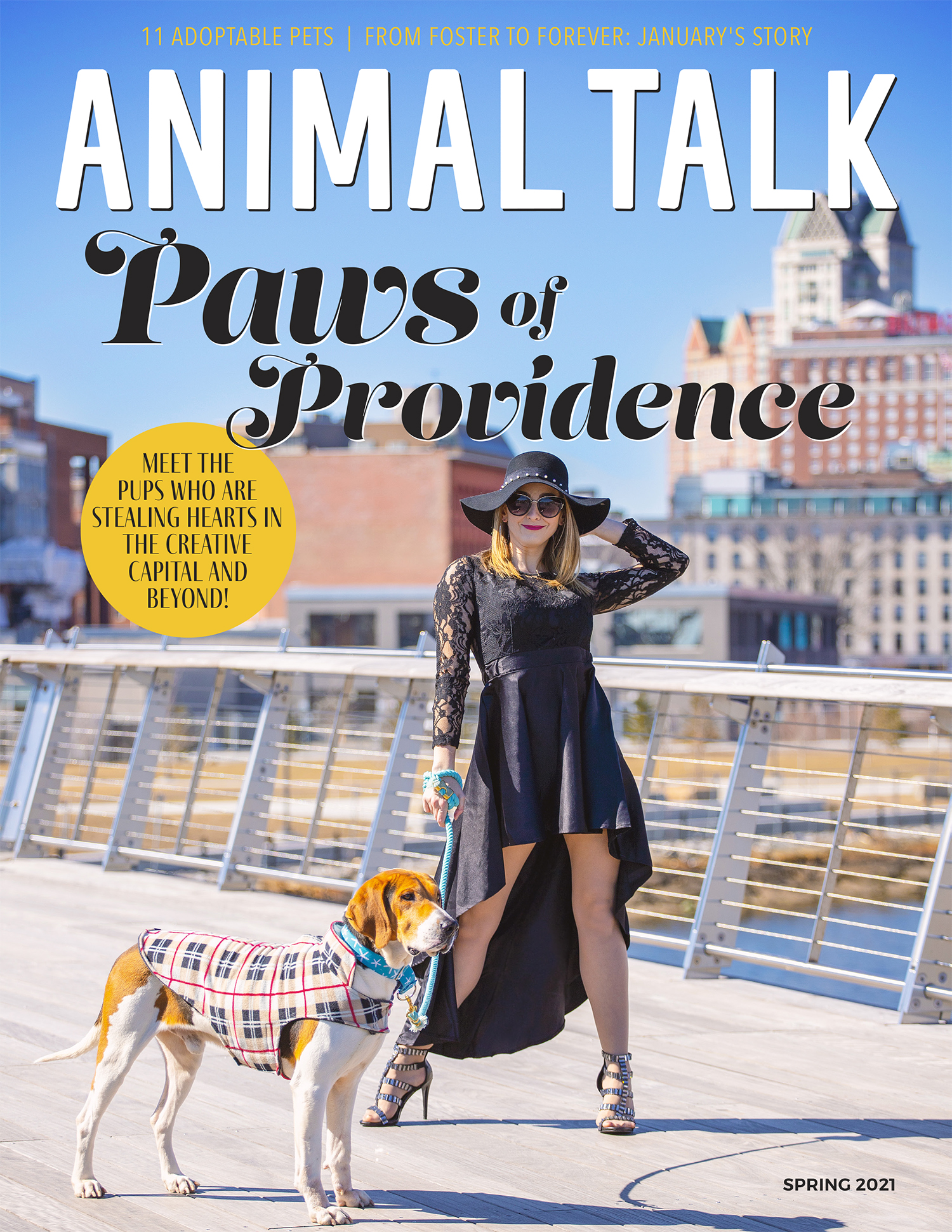 Animal Talk Magazine Stars Adoptable Dogs and Cats in Rhode Island ...