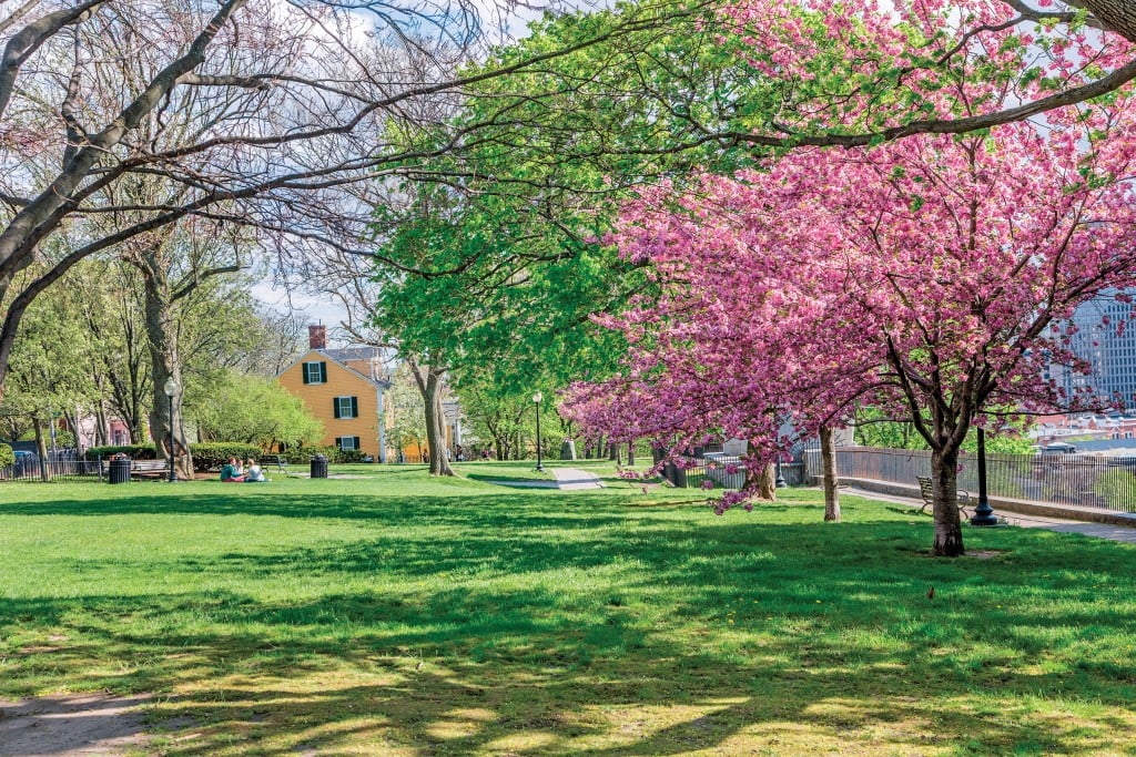 5 Perfect Rhode Island Spots for a Picnic - Rhode Island Monthly