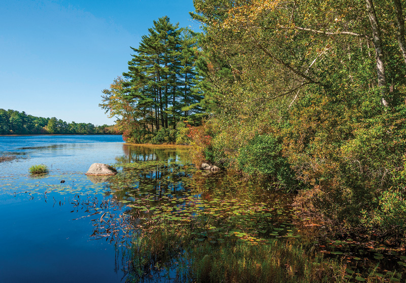 Rhode Island Summer Bucket List - Page 4 of 7 - Rhode Island Monthly