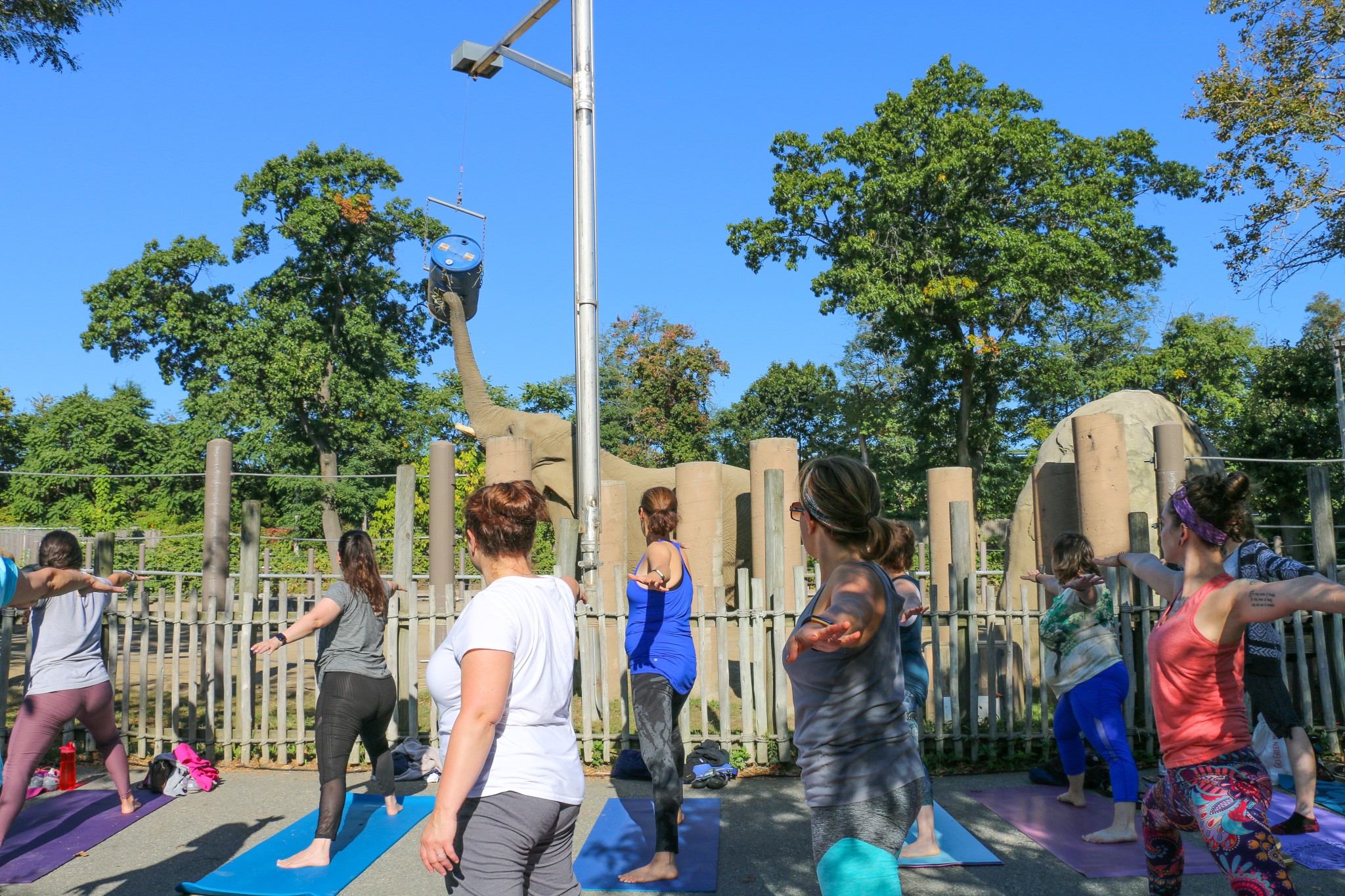 37 Fun Things to Do in Rhode Island This May - Rhode Island Monthly