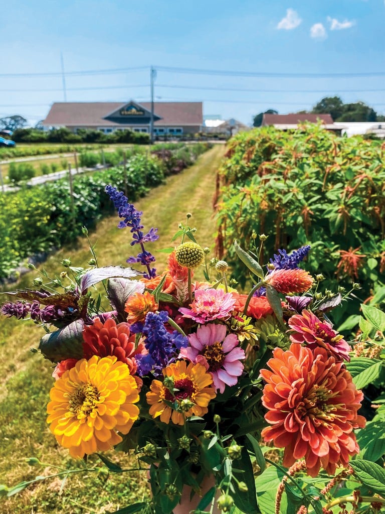 6 Pick-Your-Own Flower Farms in Rhode Island - Rhode Island Monthly