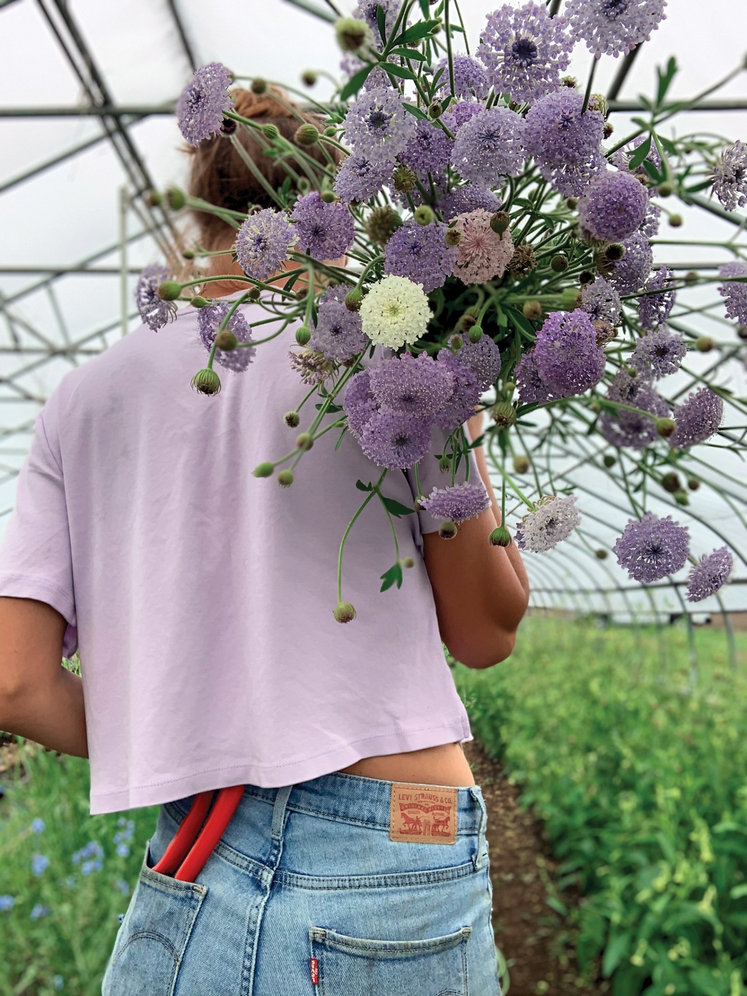 6 Pick-Your-Own Flower Farms in Rhode Island - Rhode Island Monthly