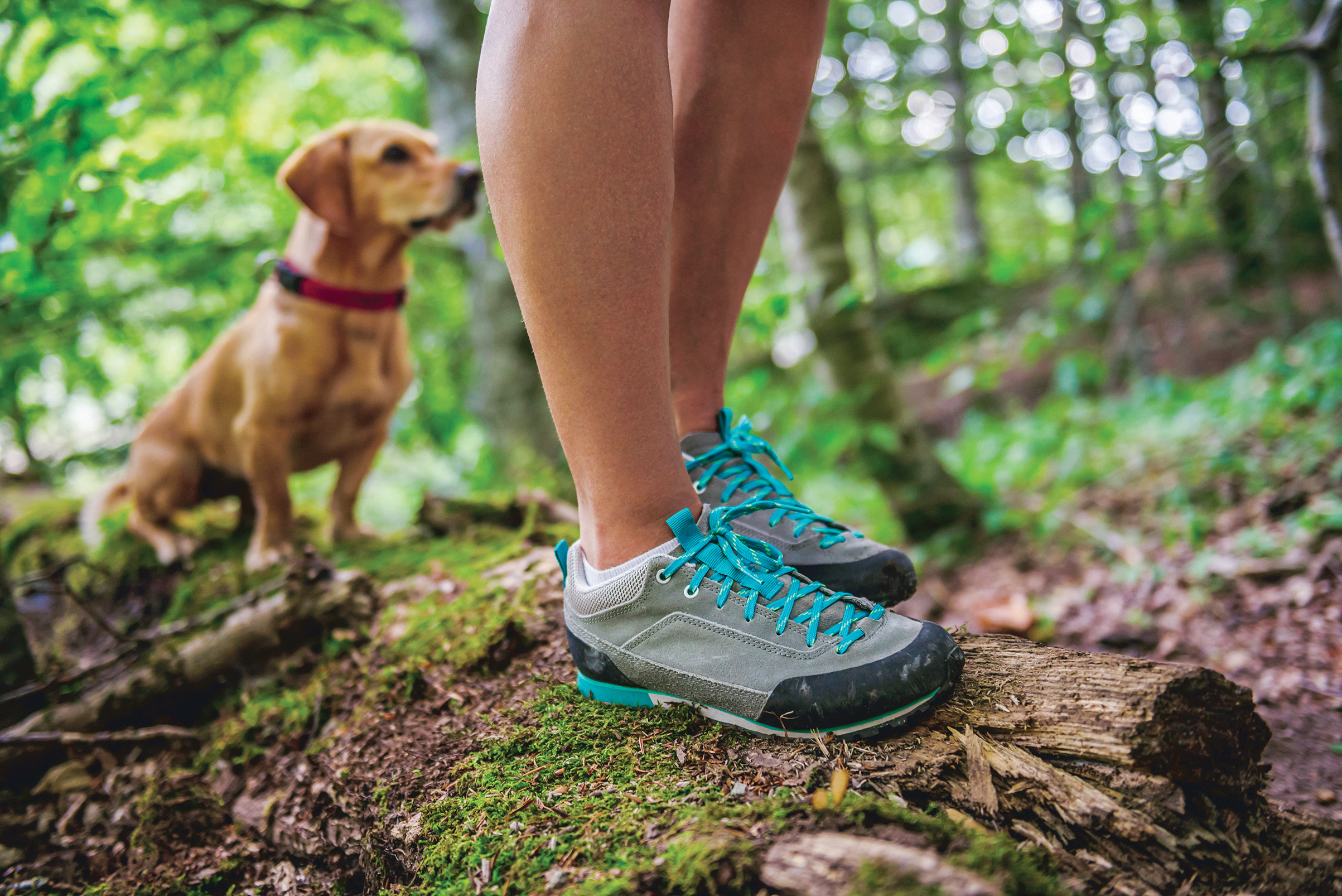 Hiking Trails to Explore in Rhode Island - Rhode Island Monthly