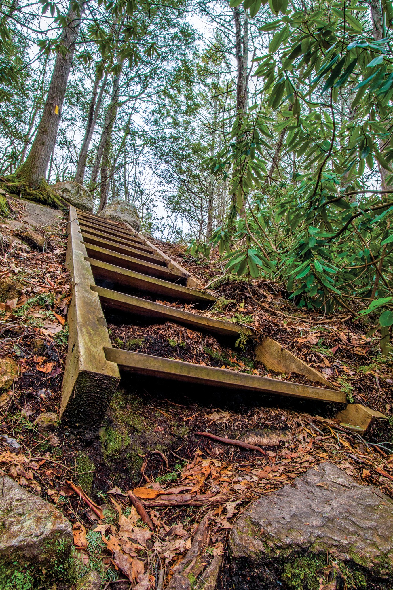 Rhode Island Monthly magazine: Published since 1988