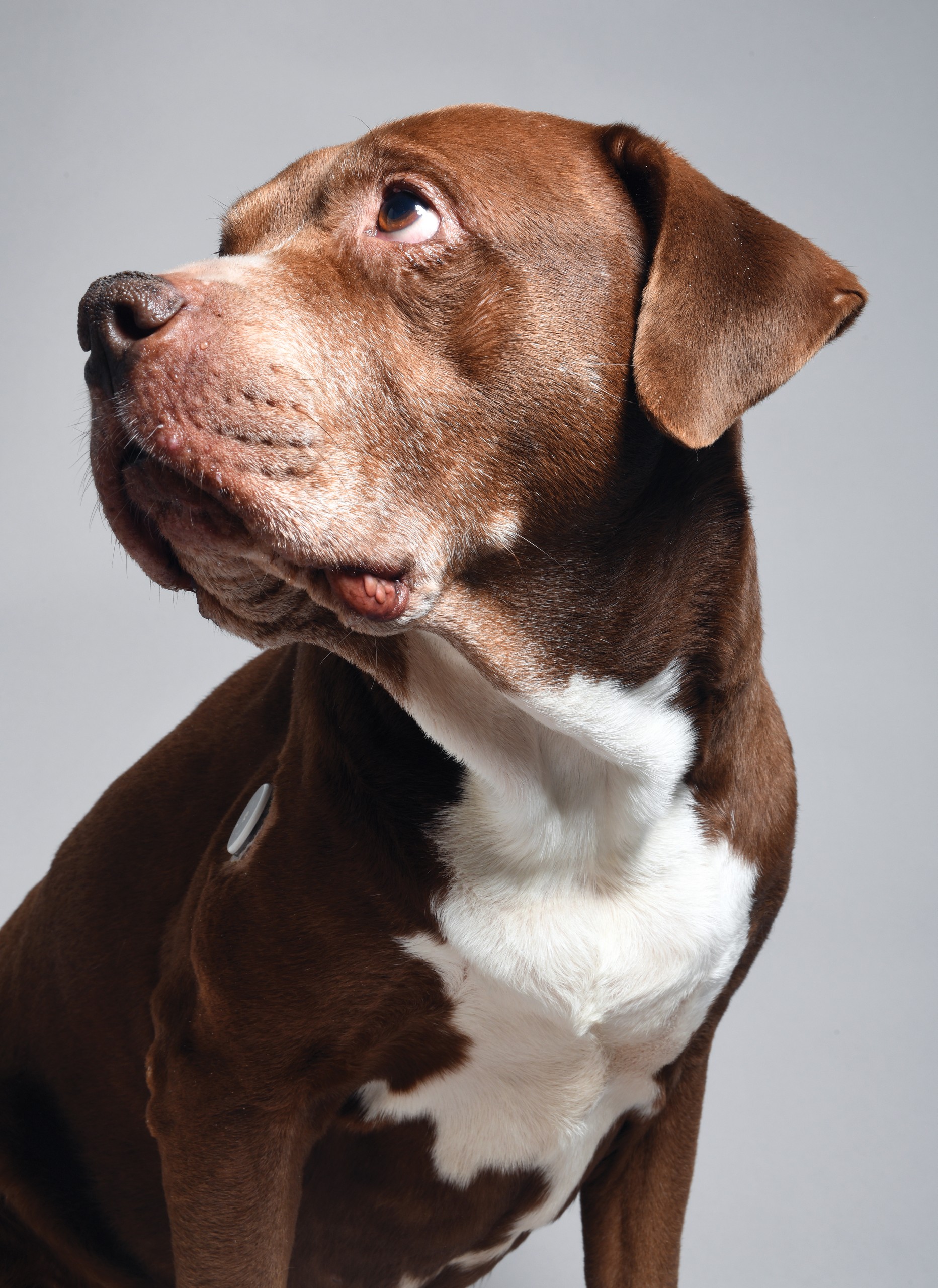 Q&A with Providence Animal Photographer Traer Scott - Rhode Island Monthly