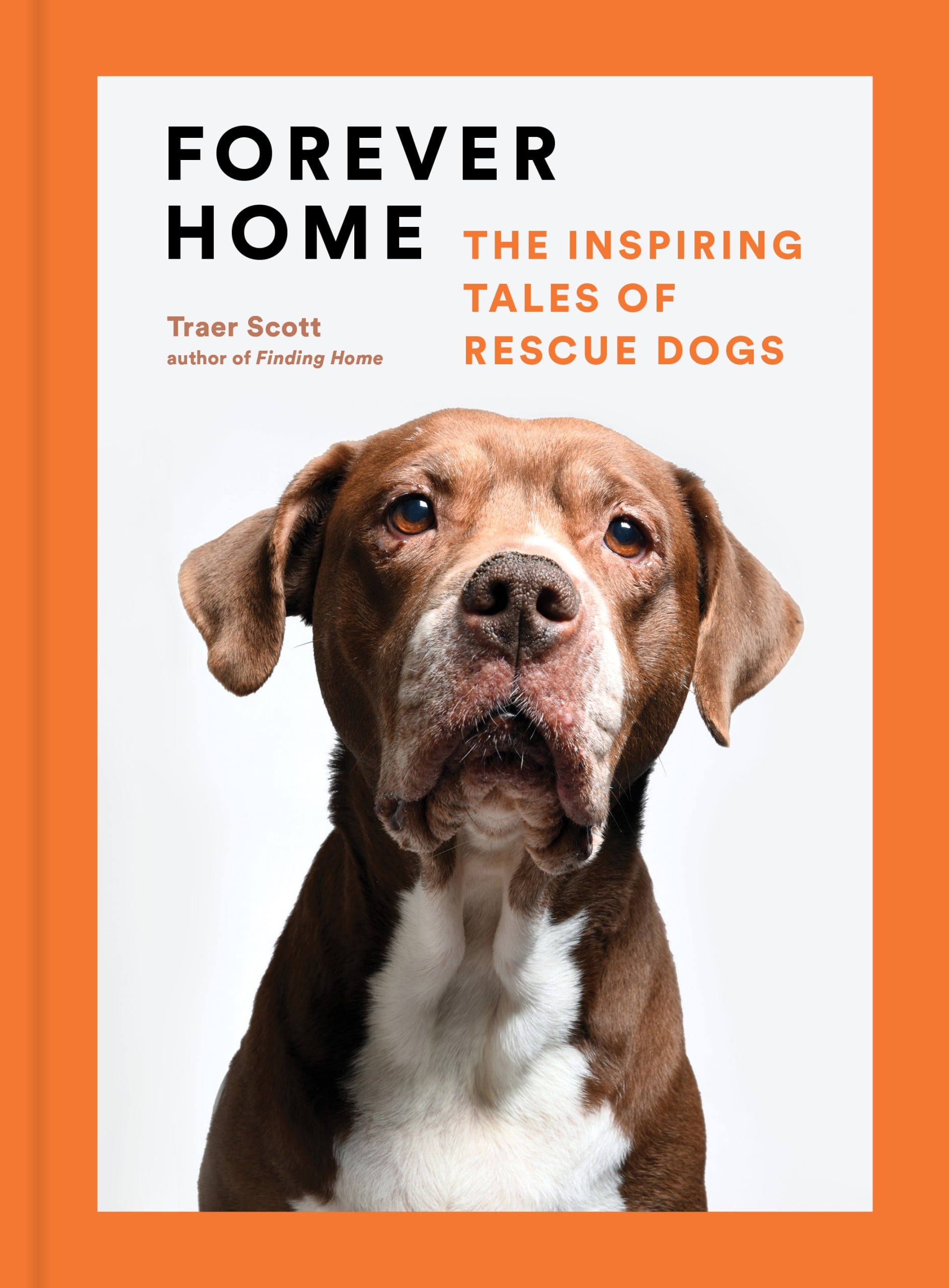 Q&A with Providence Animal Photographer Traer Scott - Rhode Island Monthly