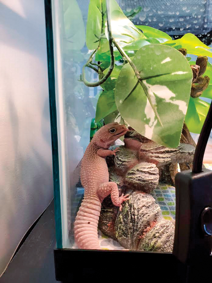 5 Public Rhode Island Libraries Worth 'Checking Out' - Rhode Island Monthly