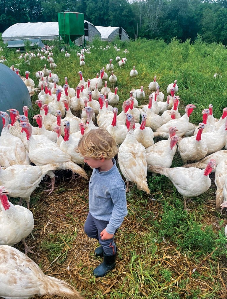 These Local Farms Have Everything You Need for an At-Home Thanksgiving ...